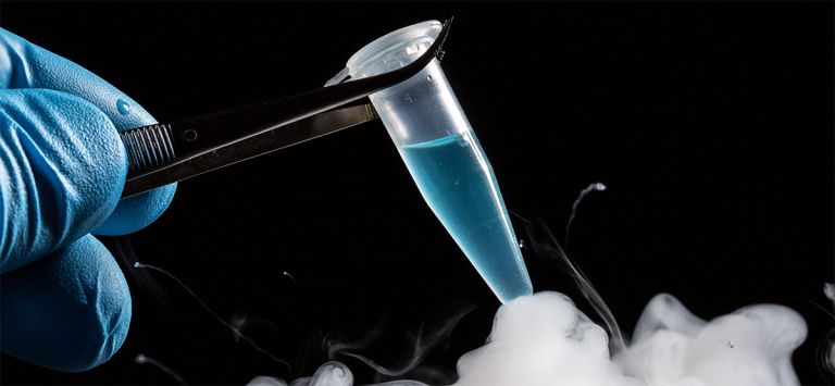 Safe handling of liquid nitrogen | LabTech