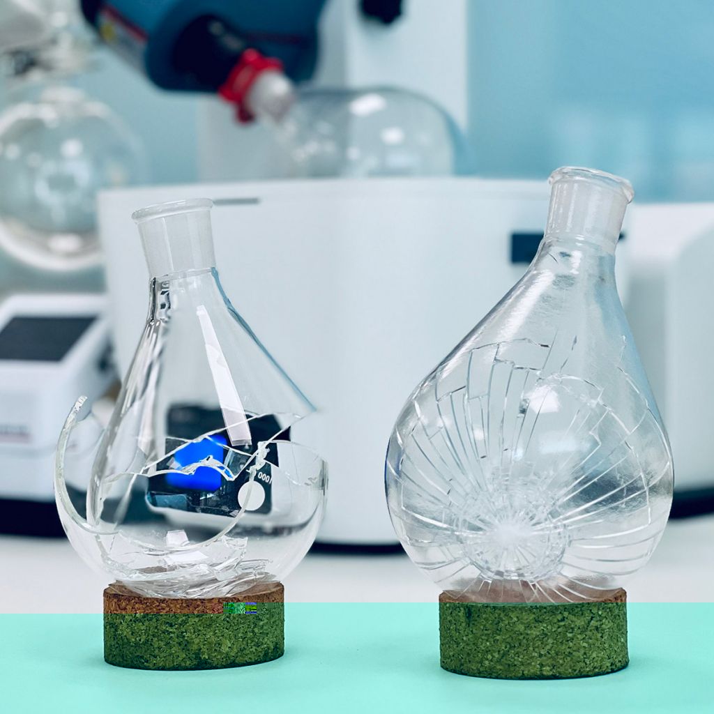 Rotavapores | LabTech